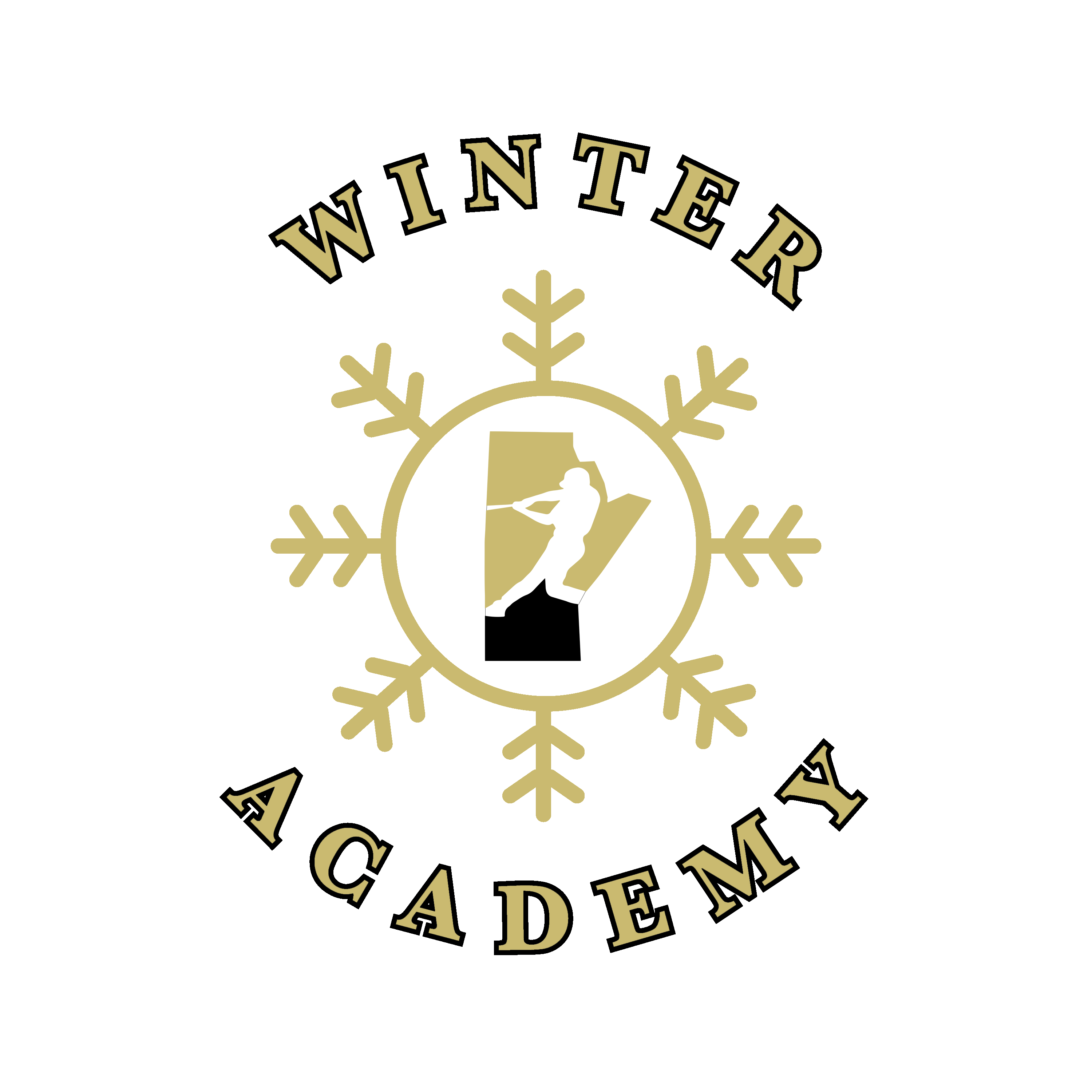 Baseball Manitoba : Website by RAMP InterActive